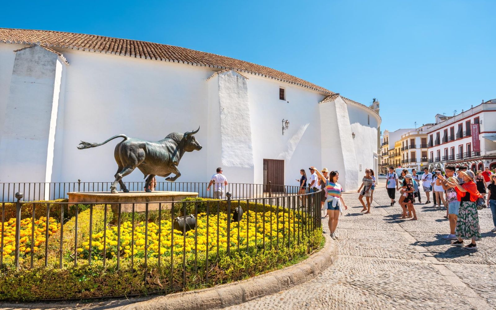 Plaza de Toros de Ronda | Everything you need to know